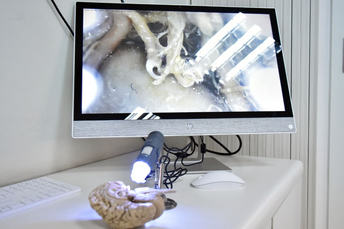 Laboratorio de Anatomía inaugura nuevas herramientas interactivas para ...