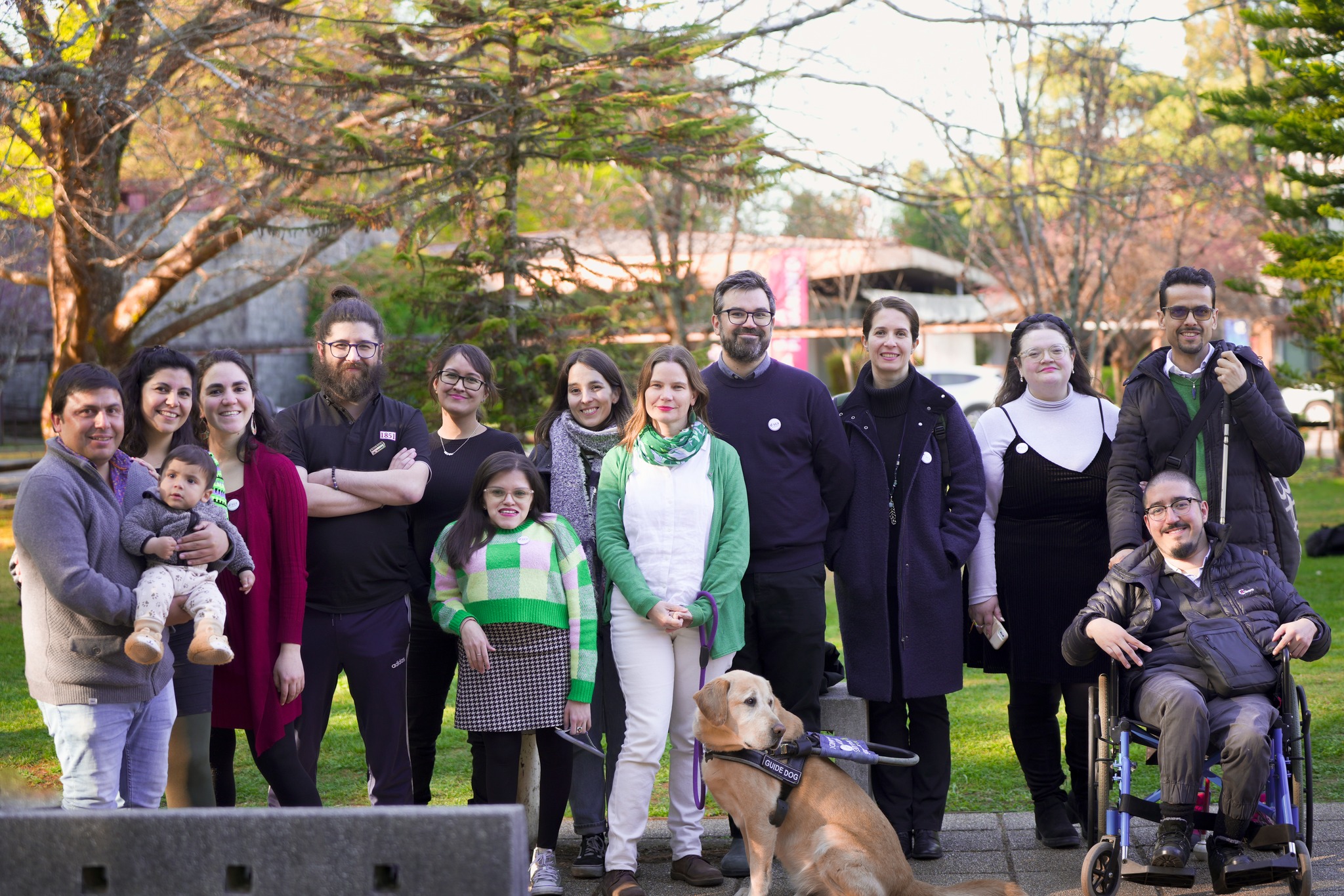 Núcleo Milenio DISCA lanza libro para comprender la discapacidad en ...